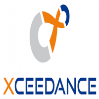 Xceedance hiring for Manual Testing-careersavalley